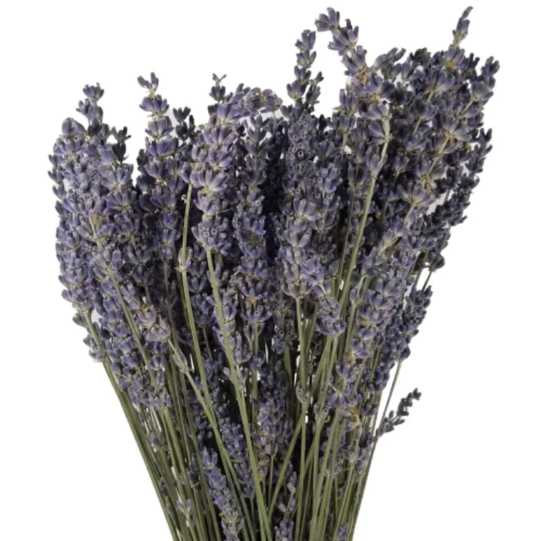 Envía Flores Frescas a Domicilio en Puerto Rico - Flores y Servicios.