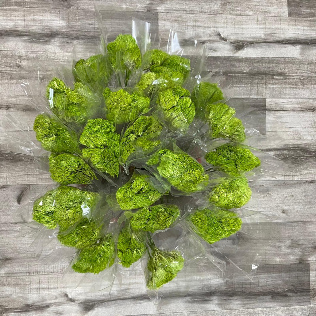 Wholesale Flowes en Puerto Rico. Compra flores al por mayor.