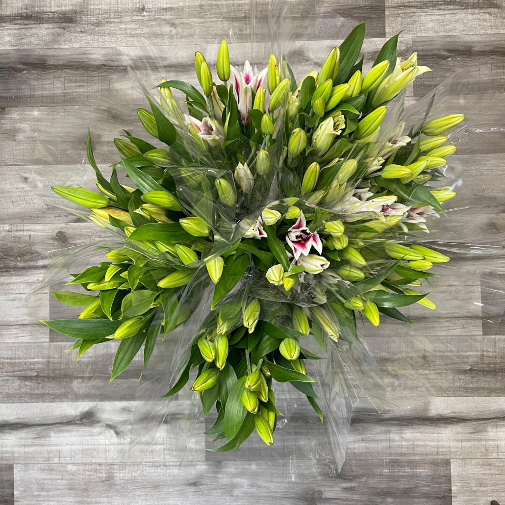 Wholesale Flowes en Puerto Rico. Compra flores al por mayor.