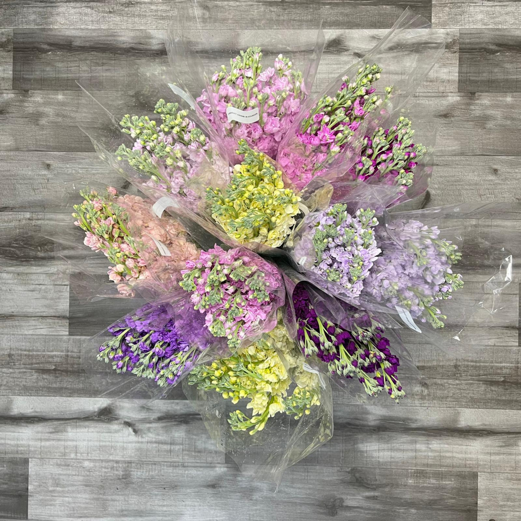 Wholesale Flowes en Puerto Rico. Compra flores al por mayor.