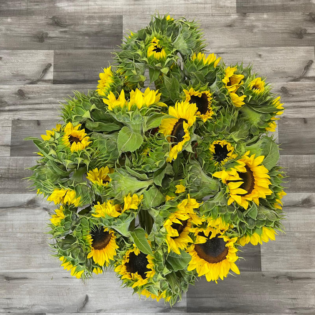 Wholesale Flowes en Puerto Rico. Compra flores al por mayor.